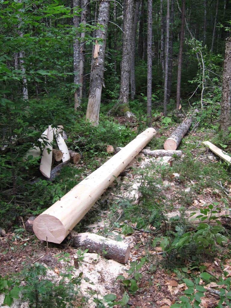 lean-to log drying | Maine Appalachian Trail Club